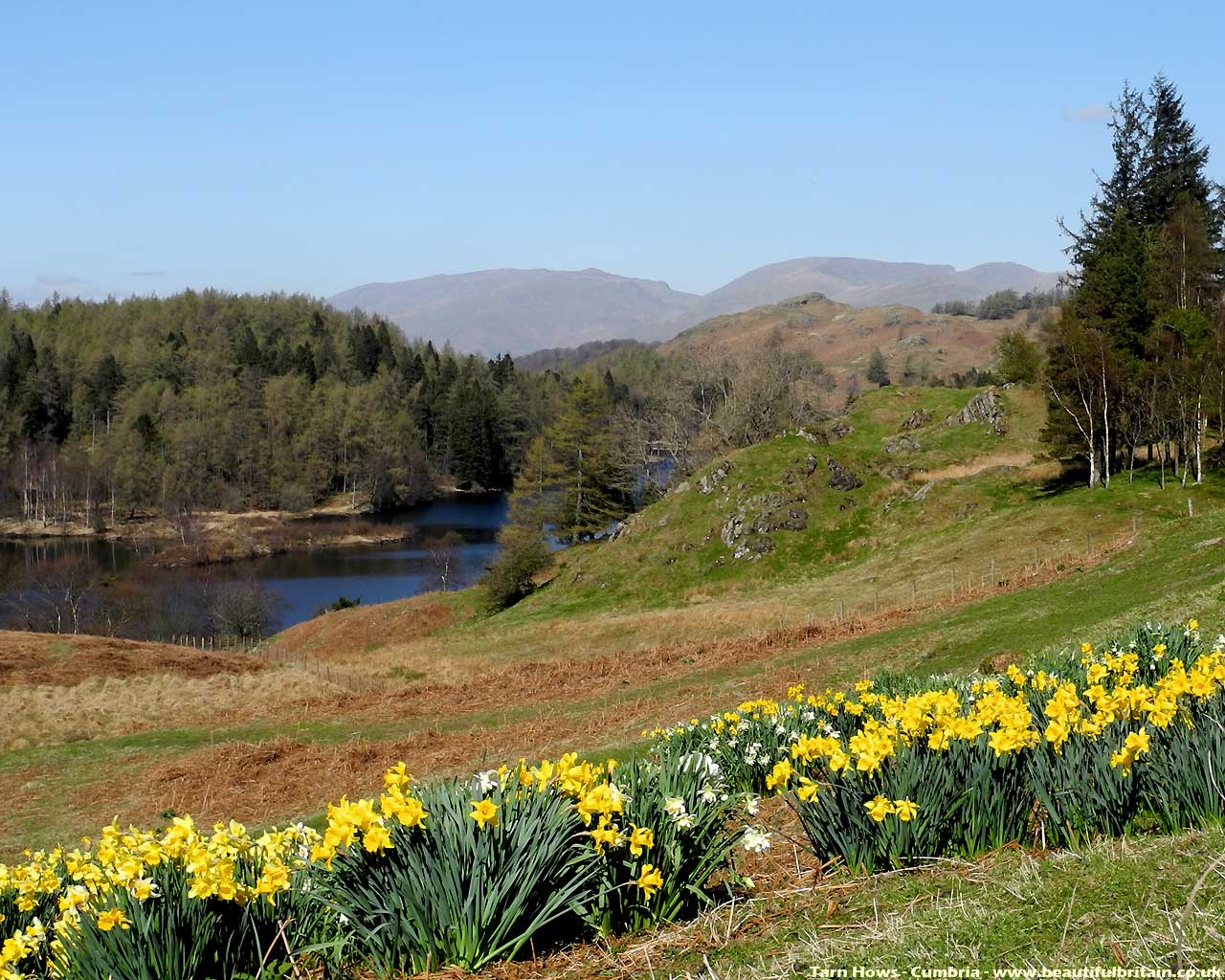 British Natural Desktop Wallpapers