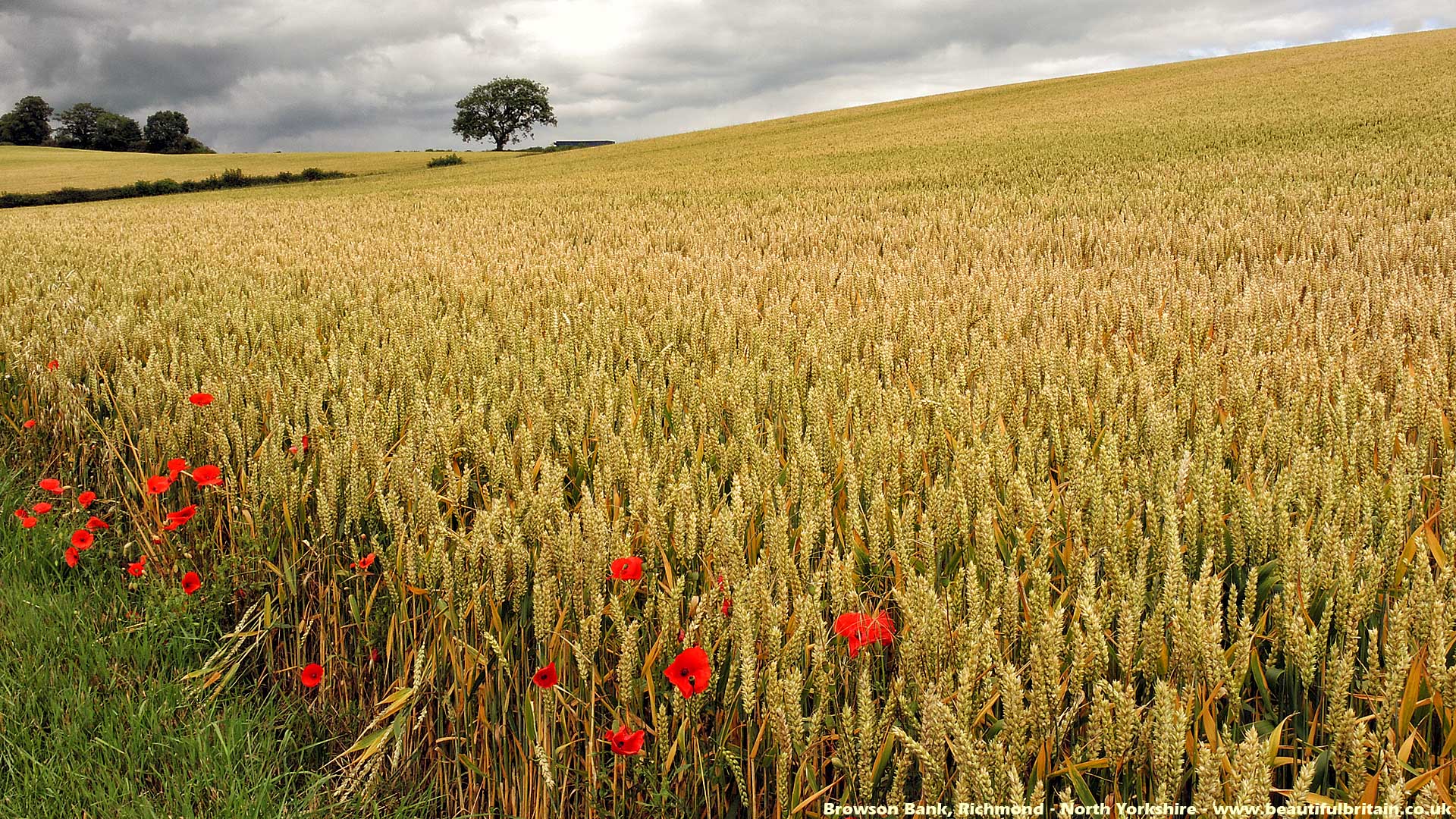 The British Countryside - Desktop Scenery Wallpaper - Photographs of ...