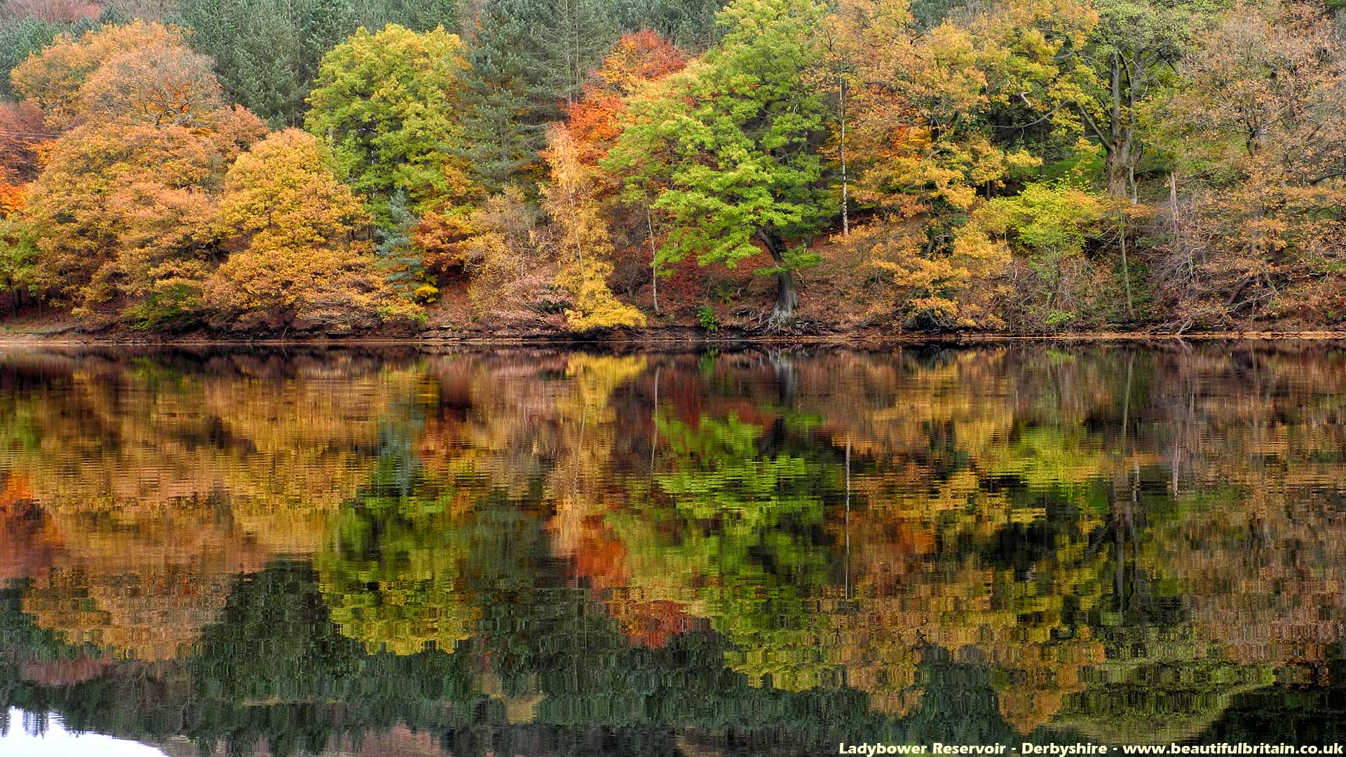 British Natural Desktop Wallpapers
