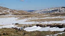 Darngarroch - Dumfries and Galloway (OS Grid Ref. NX614624)